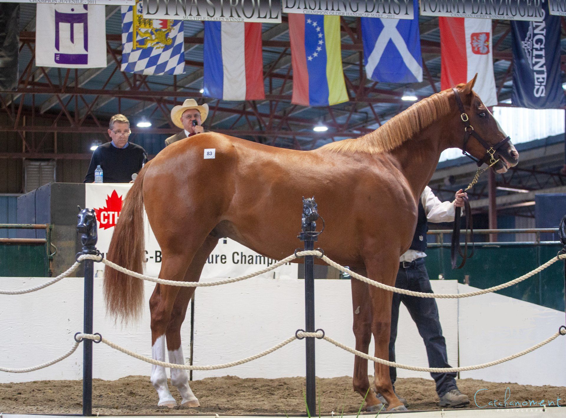 Canadian Thoroughbred Horse Society : British Columbia Division