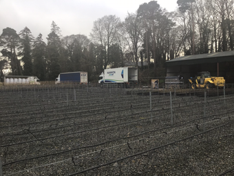 Tree growers | Craigmore Trees