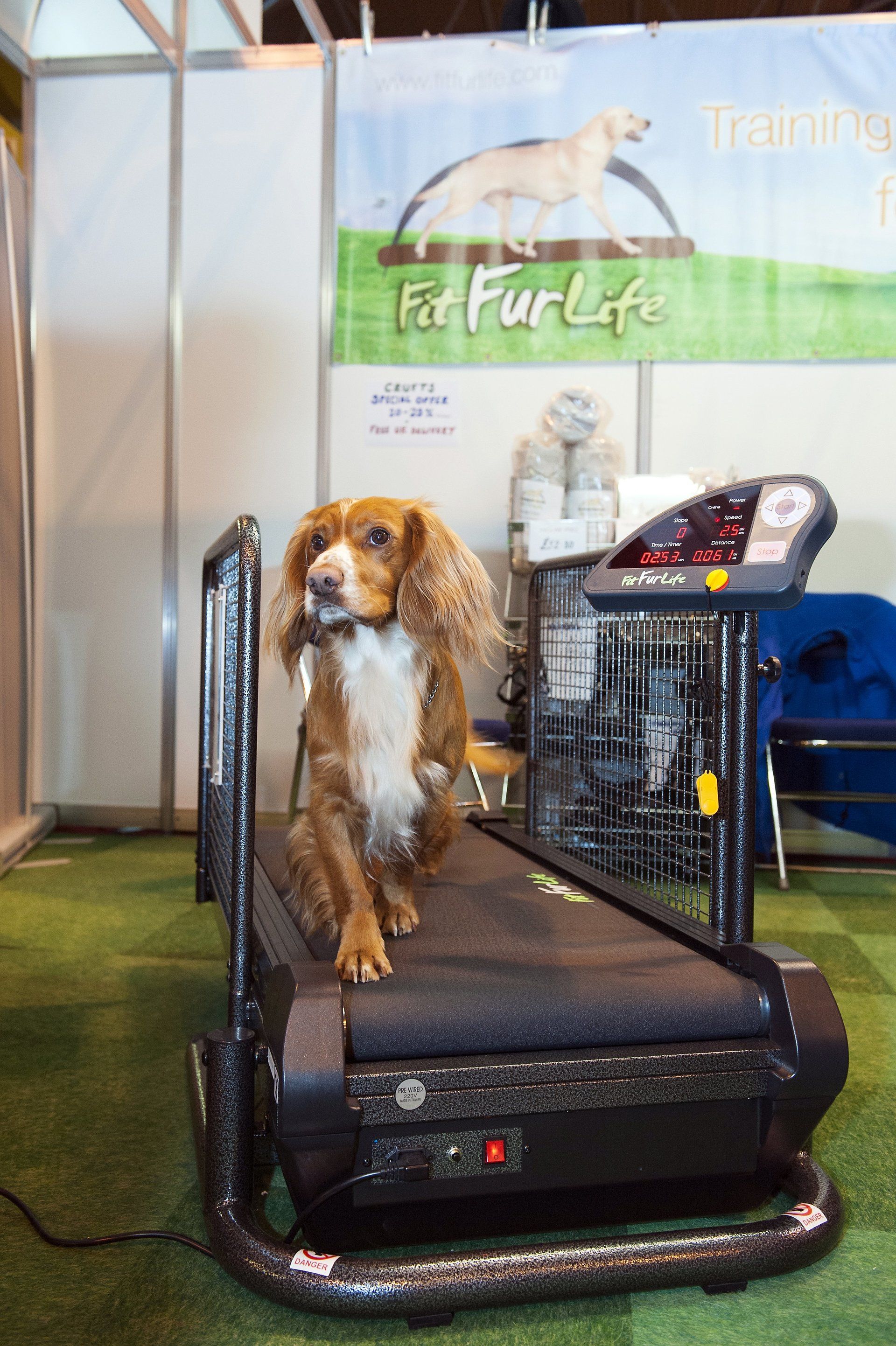 State-Of-The-Art Dog Exercise Equipment