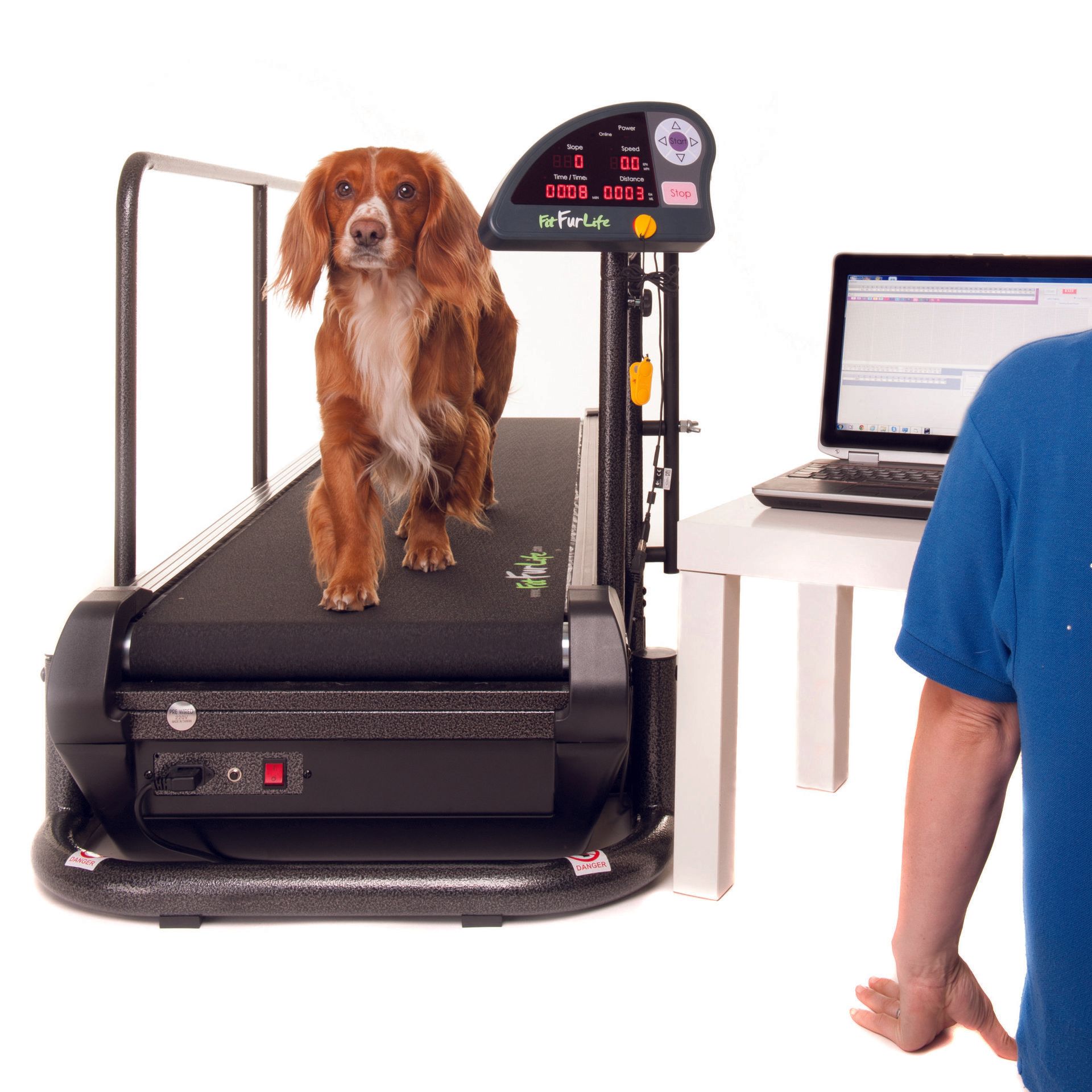 State-Of-The-Art Dog Exercise Equipment