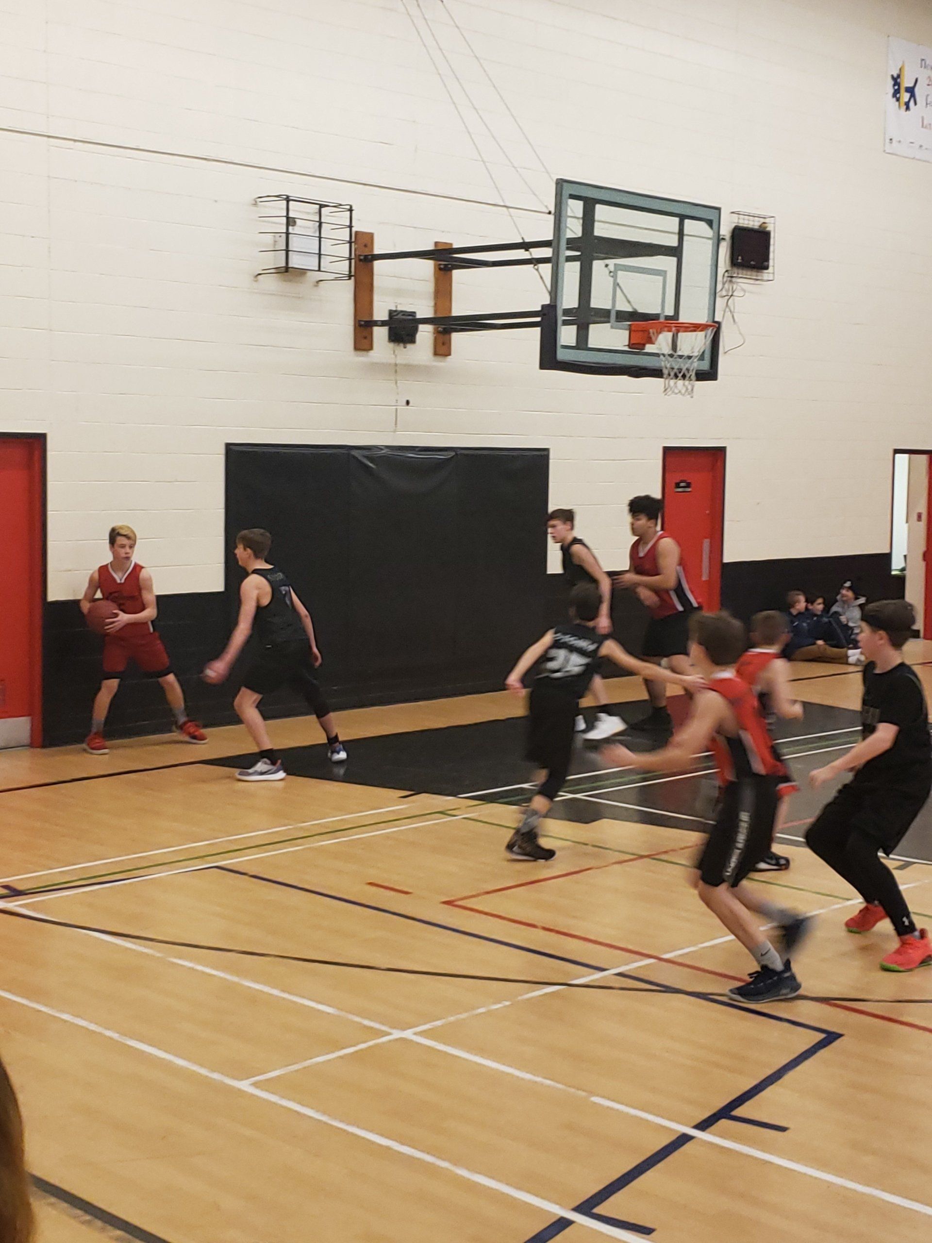 Newfoundland Labrador Basketball Association (NLBA)