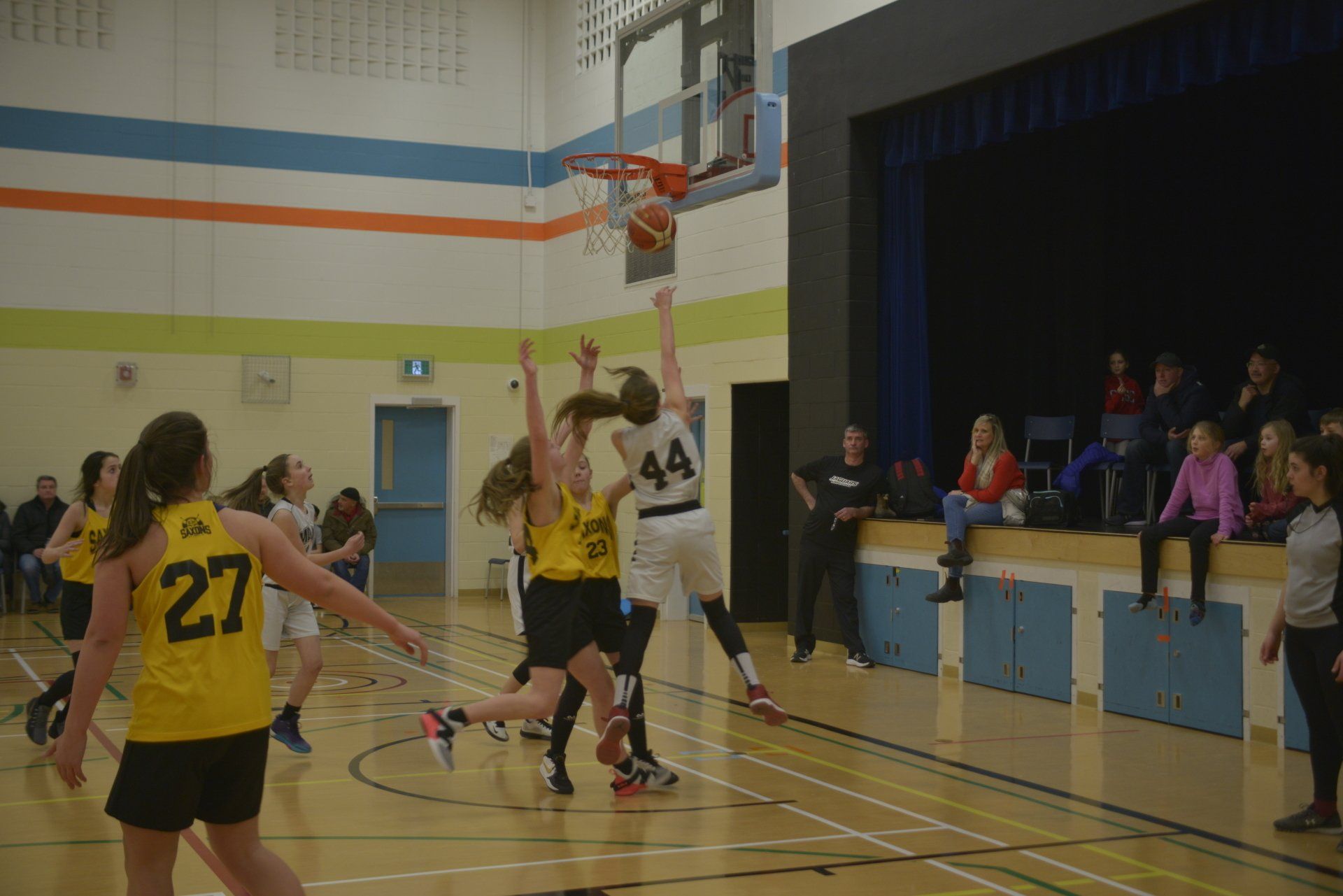 Newfoundland Labrador Basketball Association (NLBA)