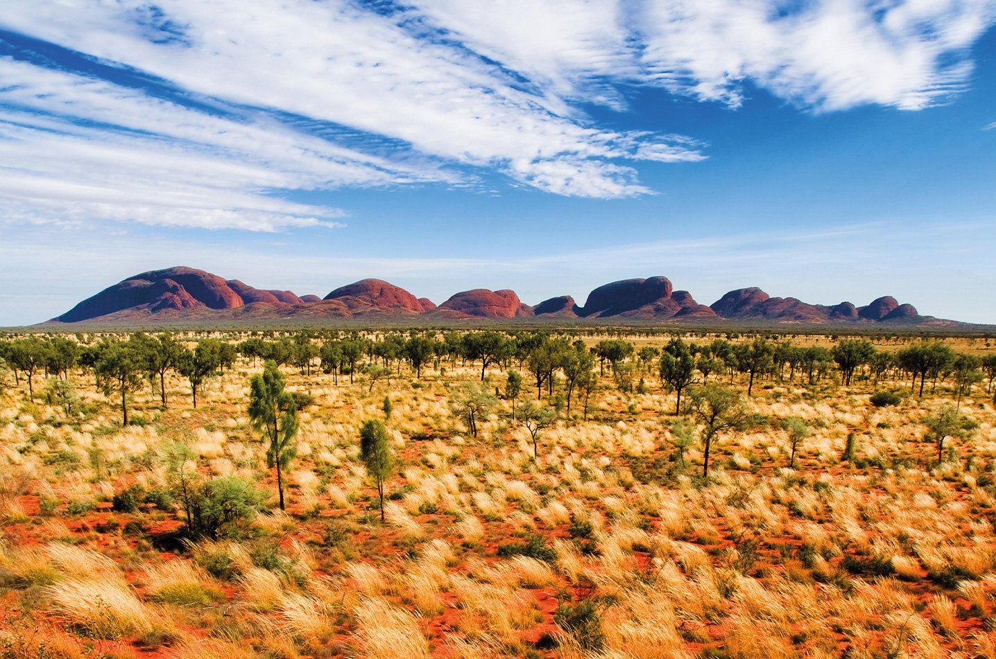 Boundless Plains to Share