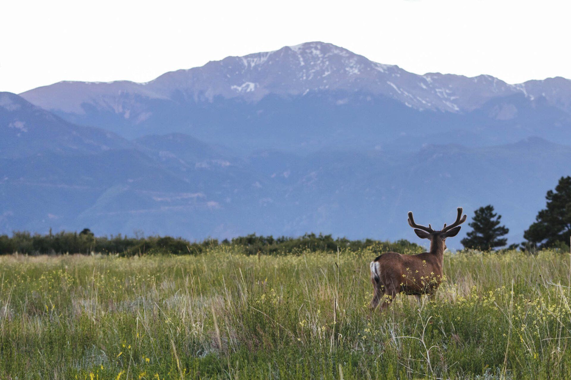 The Rawhide Co Realtors Property Management In CO the-rawhide-co-realtors-property-management-in-co