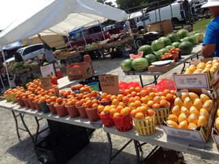 East Carolina Stockyards - Ayden, NC - Flea Market