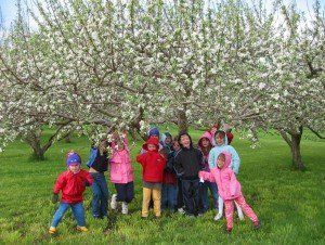 The Appleberry Farm | 8079 Maurer Road, Cross Plains, WI, 53528