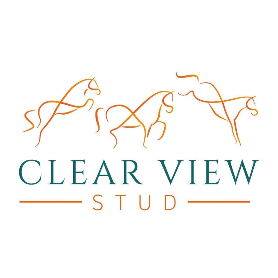 Our Team | Clear View Stud