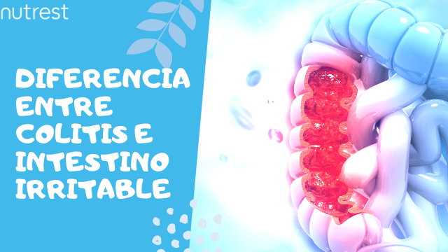 ¿Qué alimentos evitar cuando se tiene colitis?