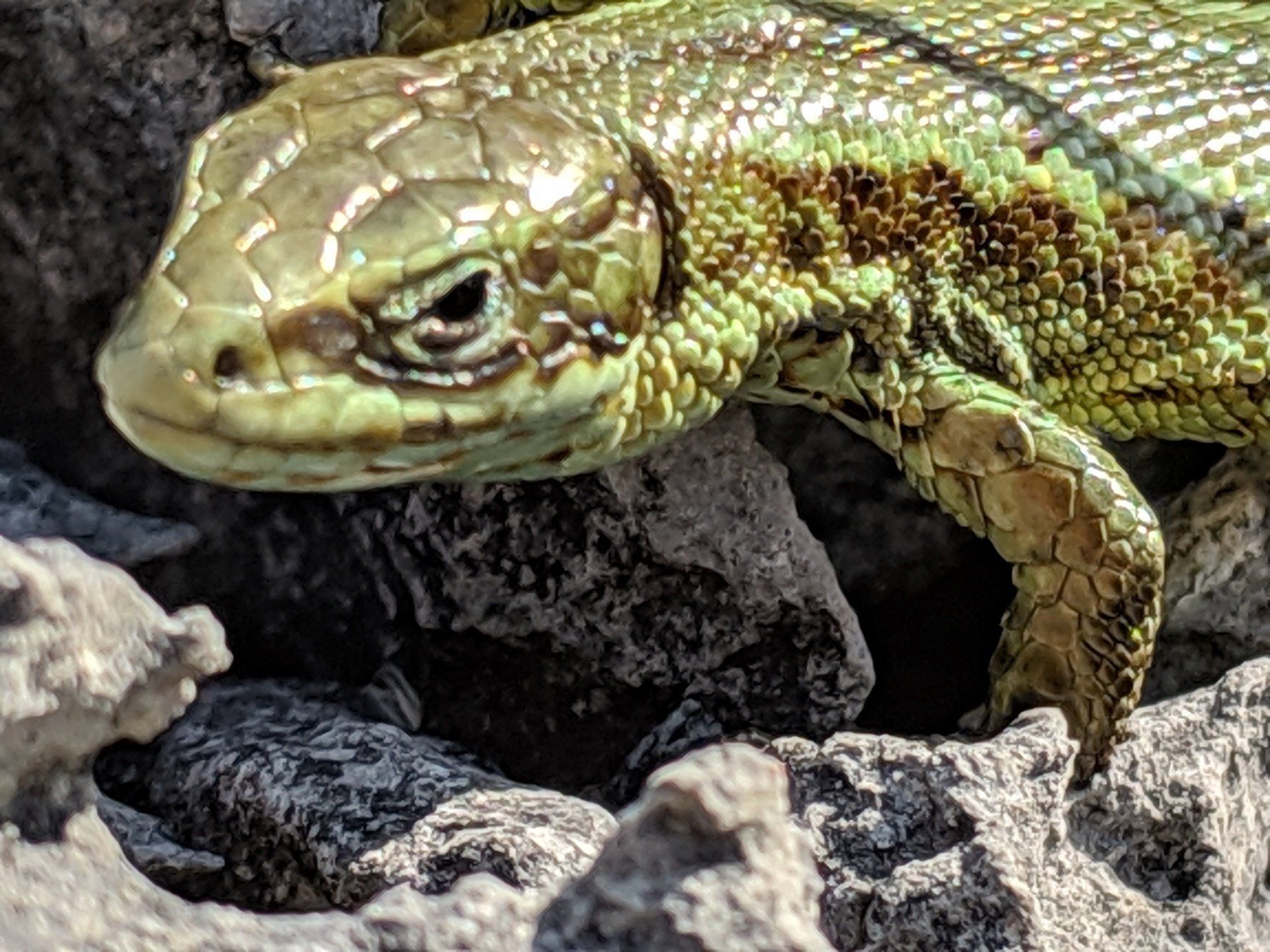 32 Little Truths about the Burren