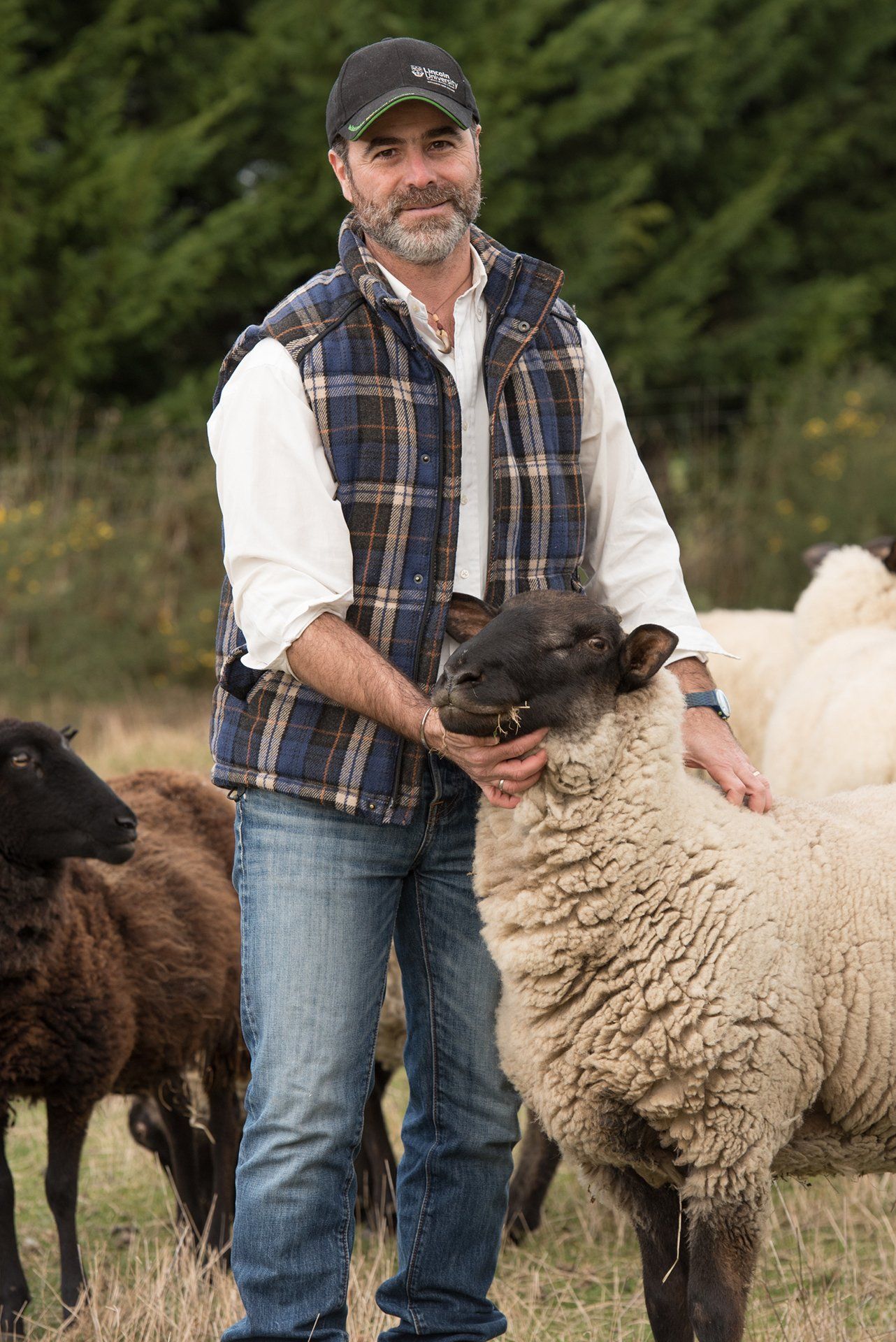 Workshops | Garden Marlborough