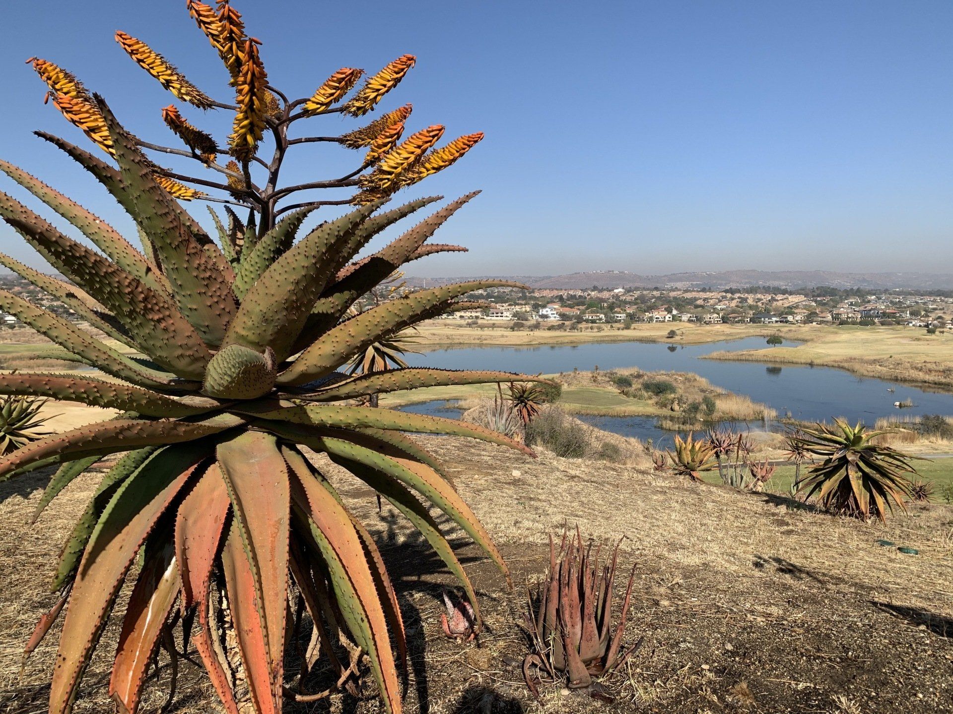 Eagle Canyon Golf & Lifestyle Estate | Home