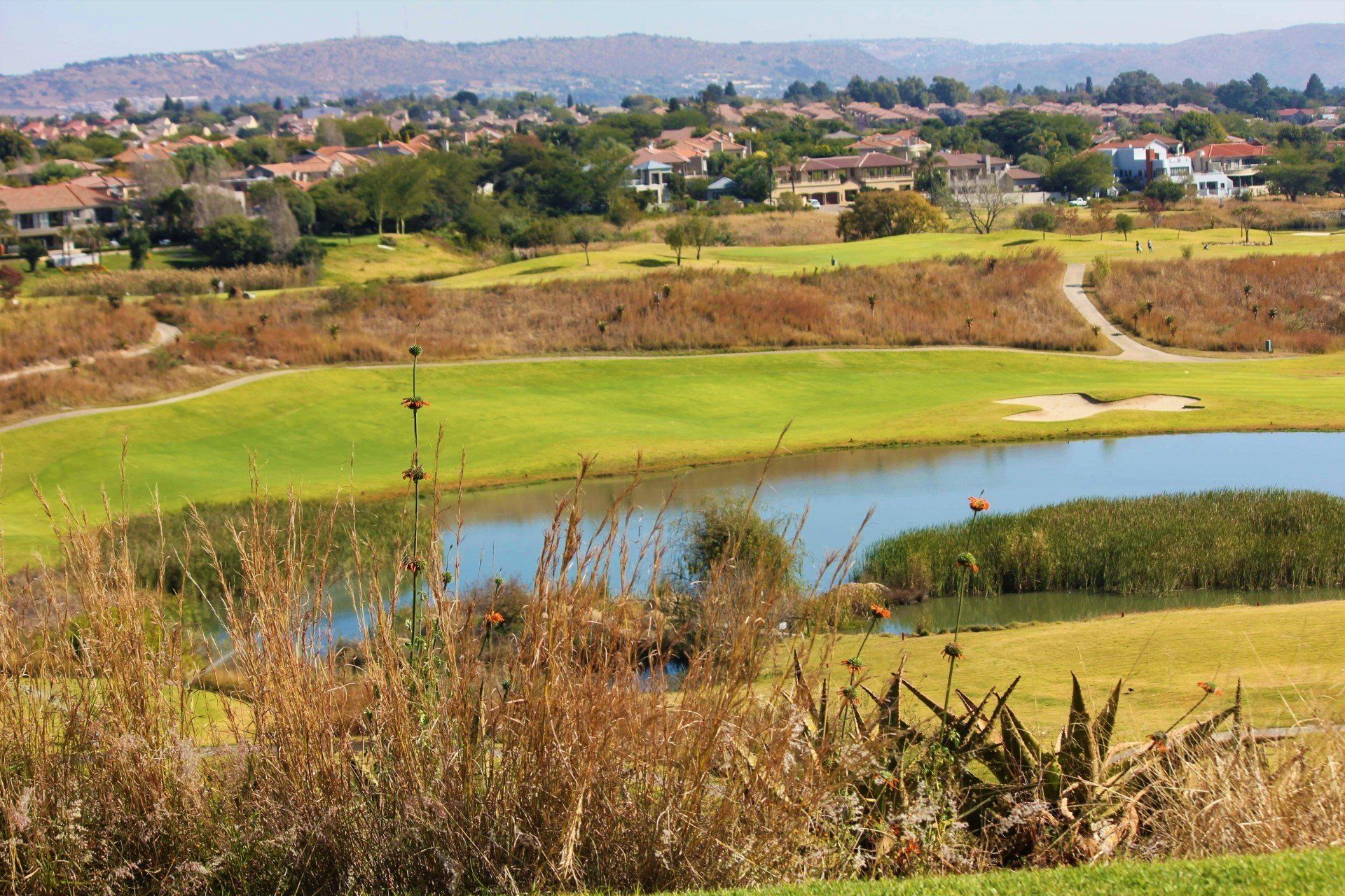 Eagle Canyon Golf & Lifestyle Estate | Home