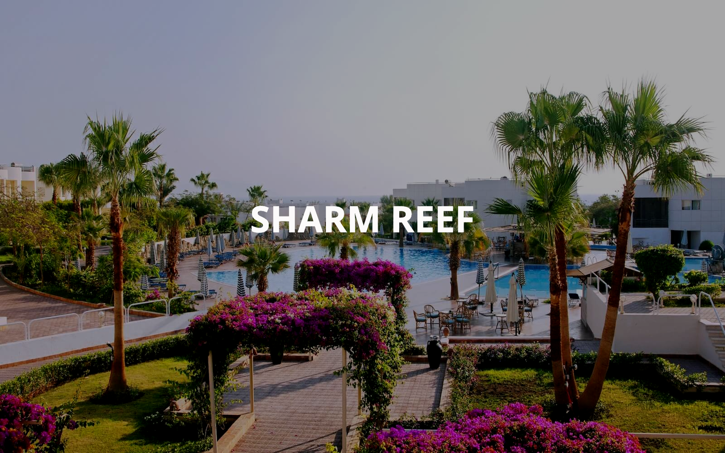 Sharm Club Resort| Egyptian Vacation Club