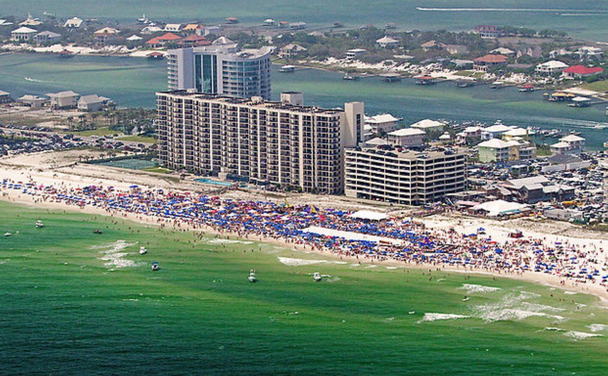 FLORA-BAMA MULLET TOSS