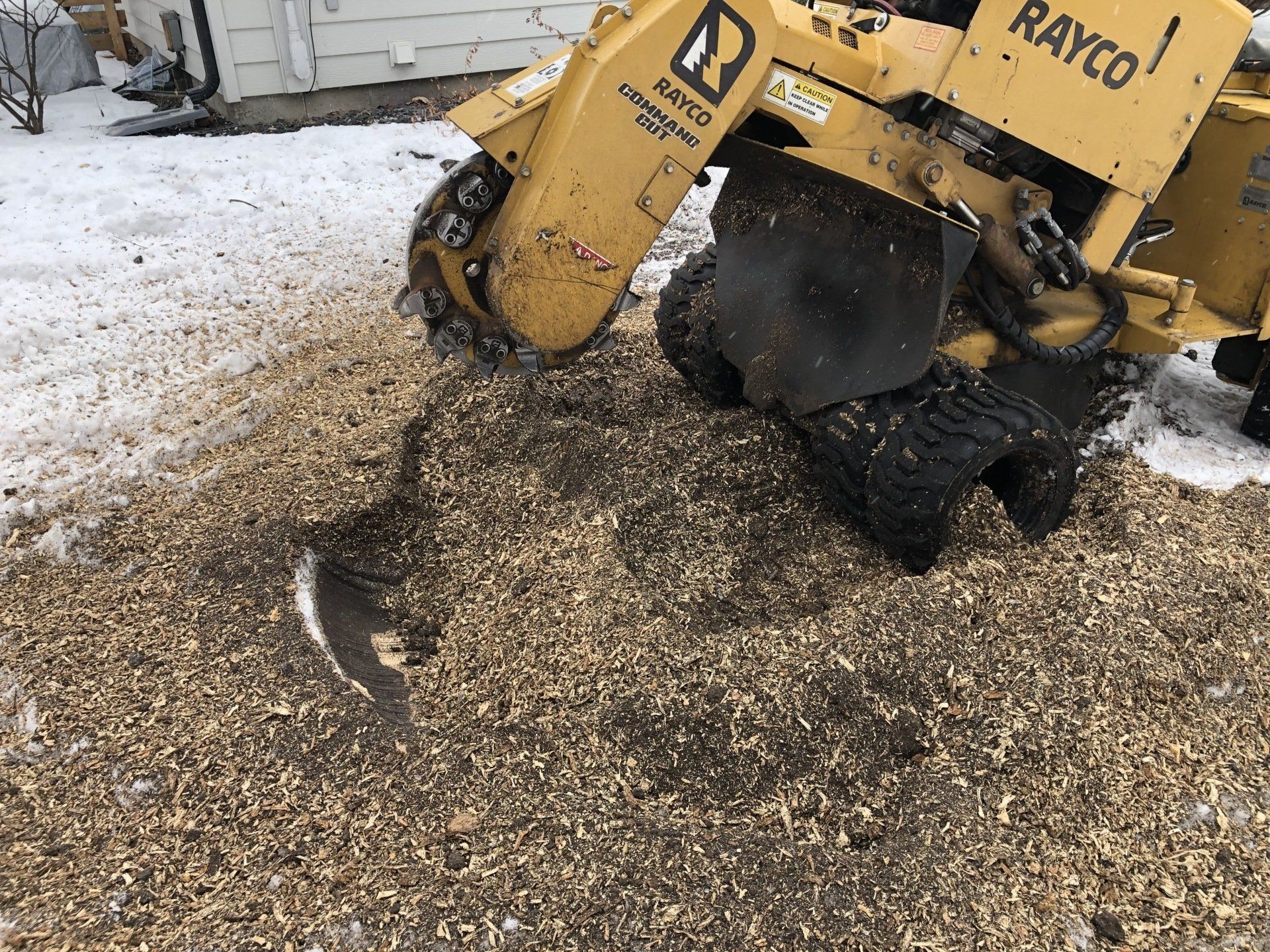 Certified Arborist | Easy Tree Service