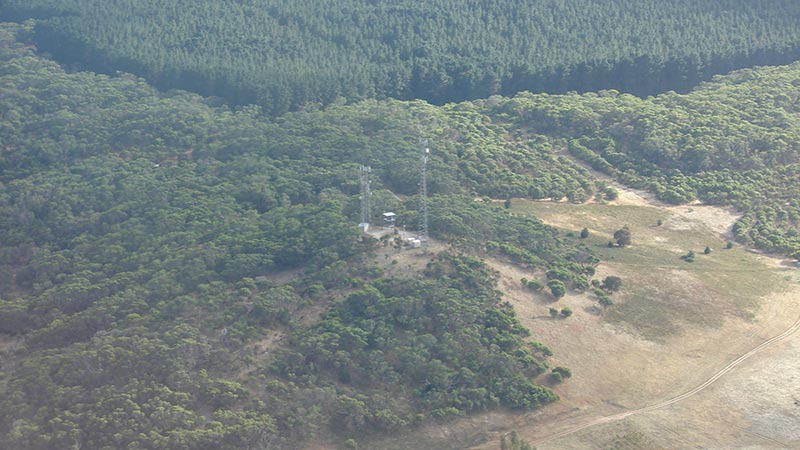 Local Wines | South Australia | Mount Benson Estate