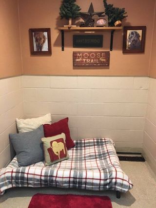 Stay and Play Pet Resort | Boarding