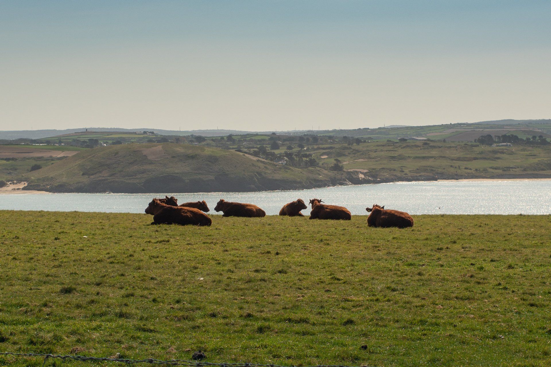Padstow Farm Shop | Selling Quality Food & Drink Since 2006