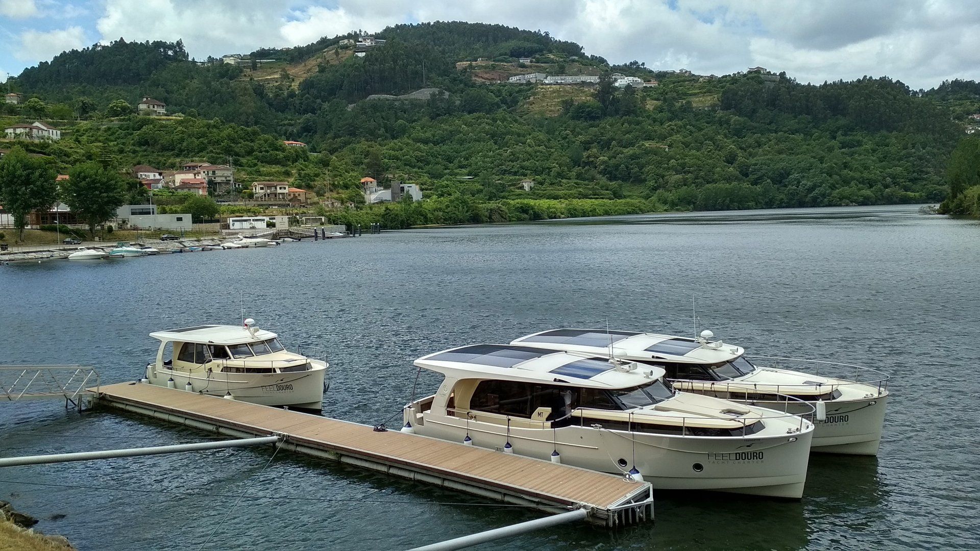 FEELDOURO - Cruising & Charter in Douro FEELDOURO - Cruising & Charter in Douro