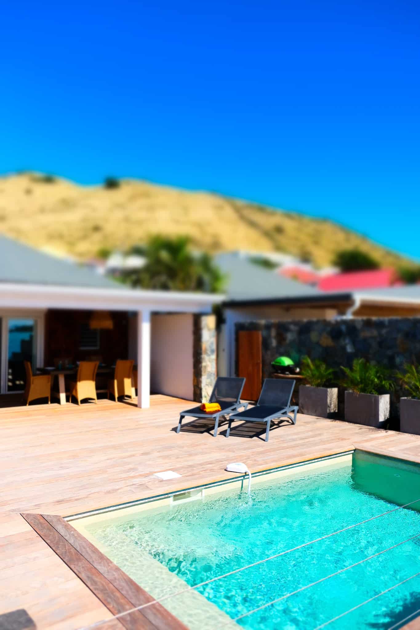 Some of our best pictures | Le Karibuni