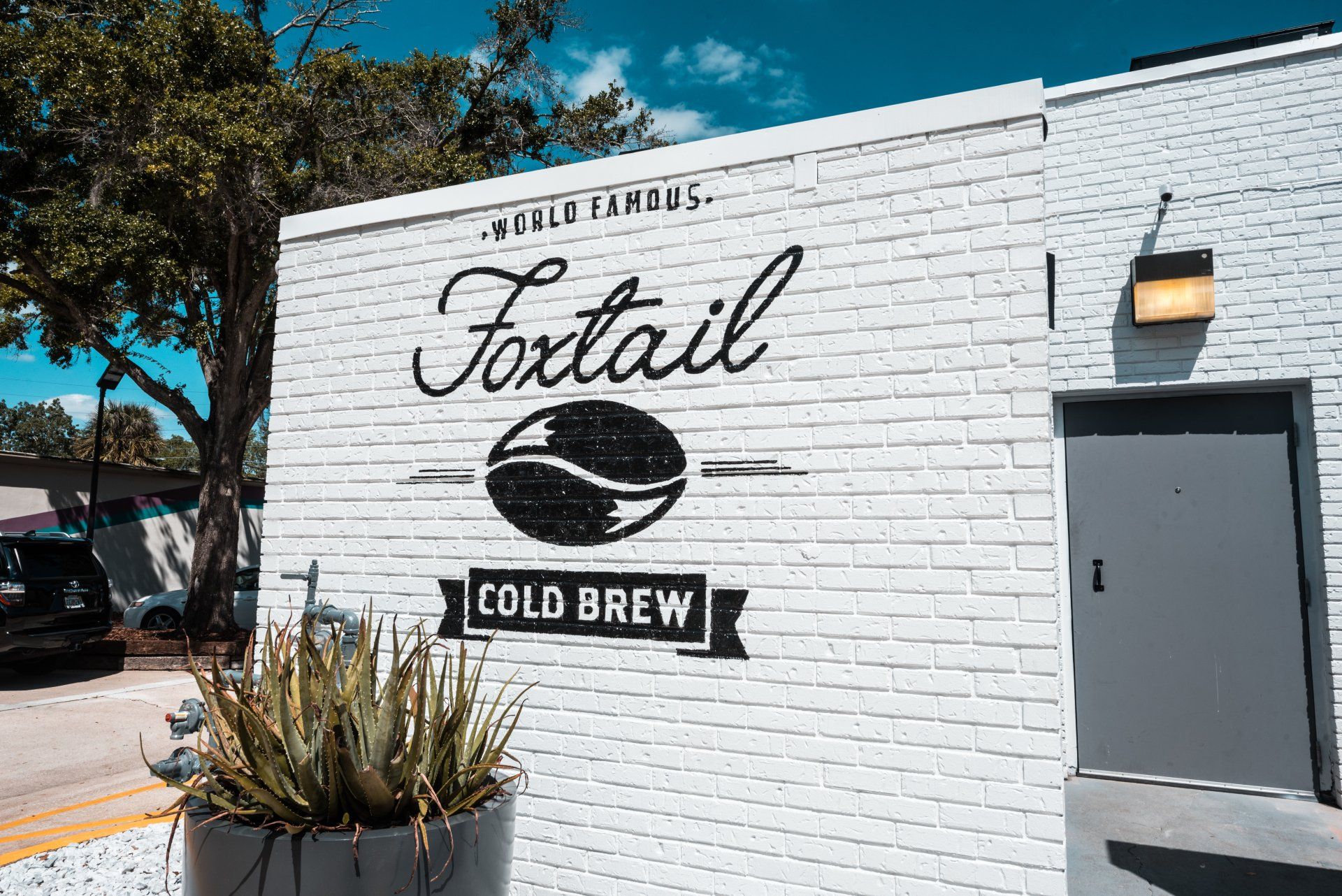 Foxtail Coffee Co. || A Winter Park Coffee Roasting Company