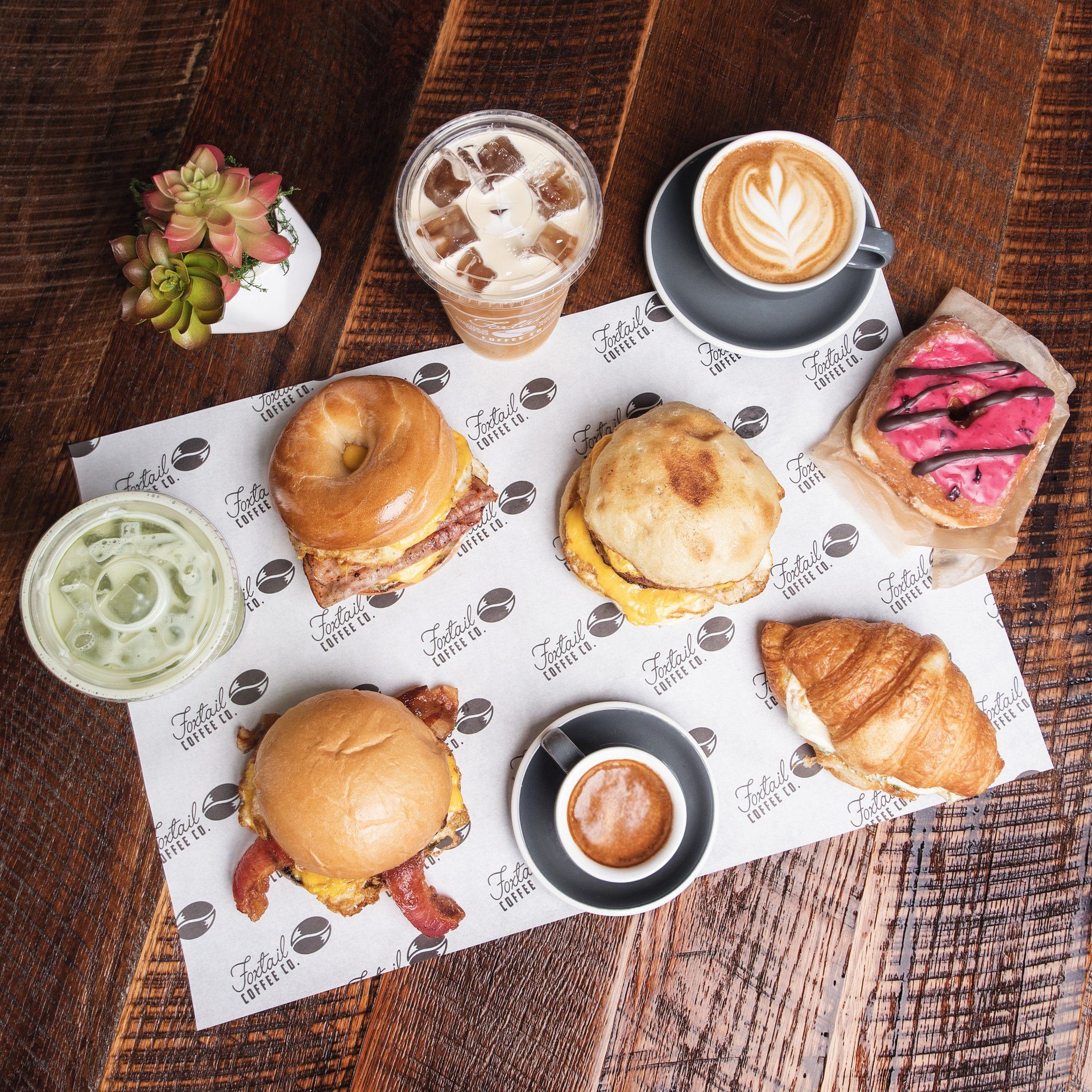 Foxtail Coffee Co. || A Winter Park Coffee Roasting Company