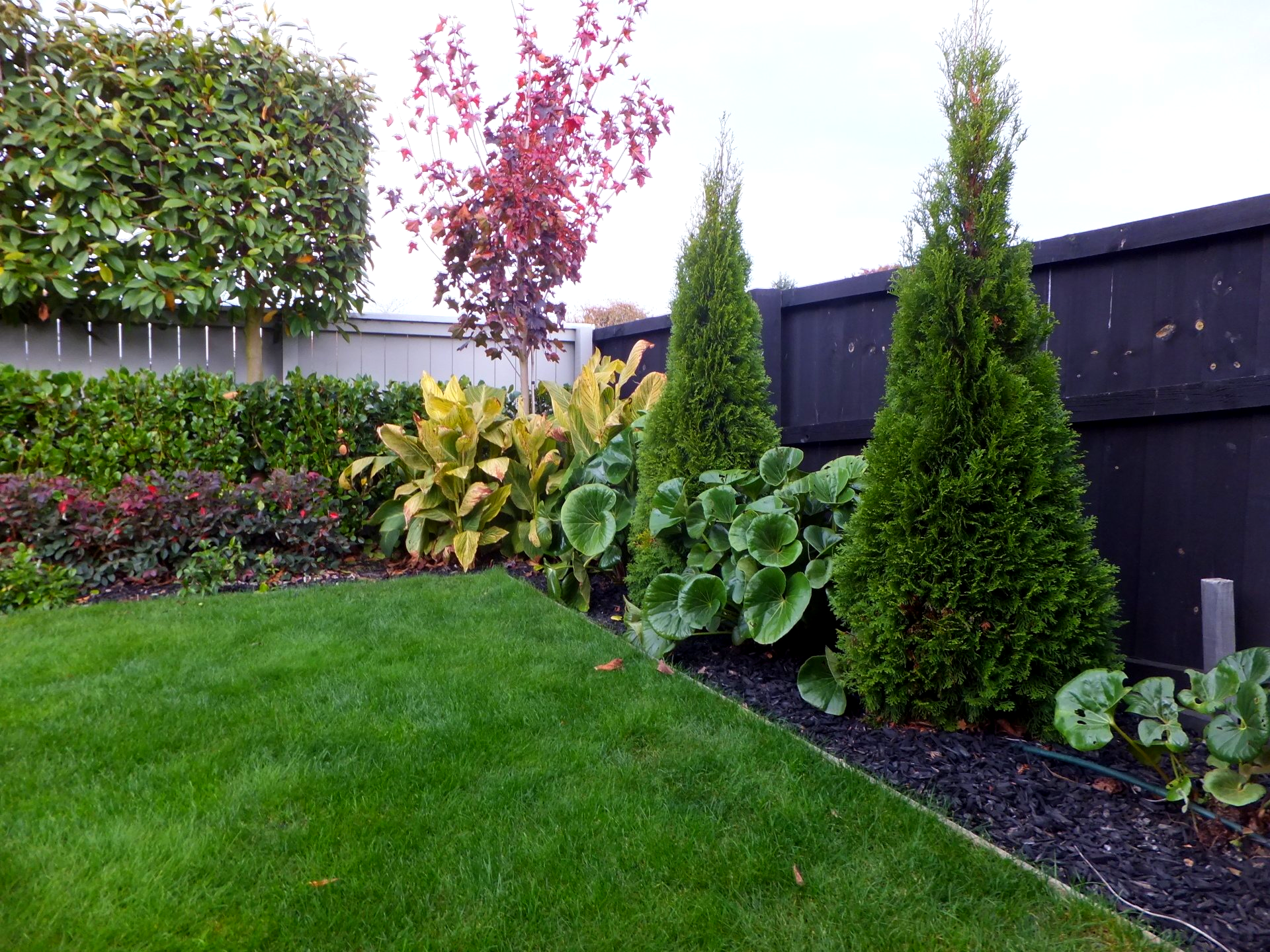 EPIC Landscape Design | Our Landscape Design Projects | Christchurch
