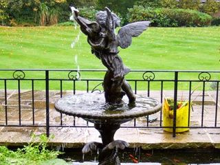 Water Feature maintenance, water feature construction