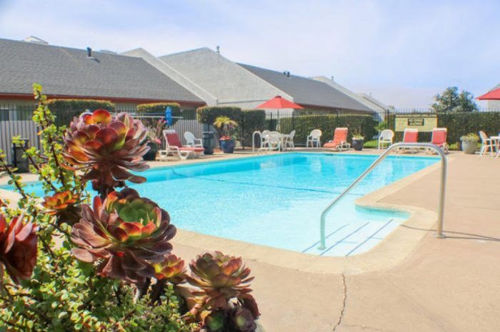 The Palms - Gardner Management, Ltd.Gardner Management, Ltd.