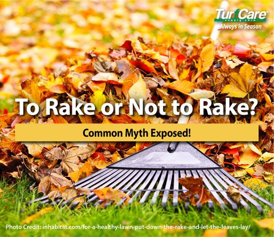 To Rake or not to Rake?