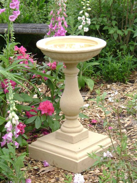 Beautiful Bird Baths in East Sussex