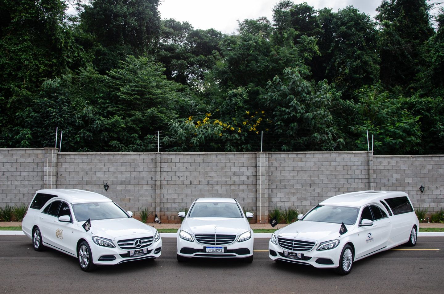 Carros Funerários Procópio