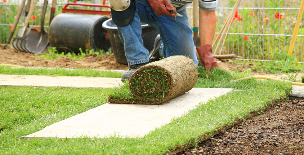 Turfing services for your garden in Millisle, Newtownards