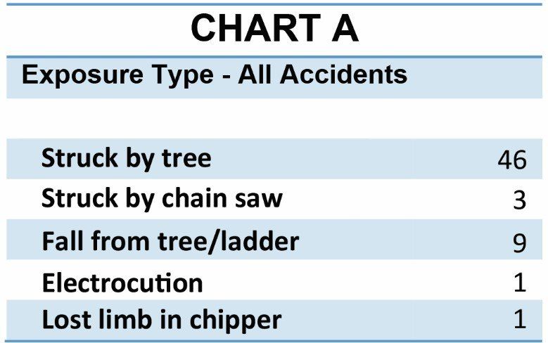 Homeowner Tree Care Accident Prevention in West Virginia