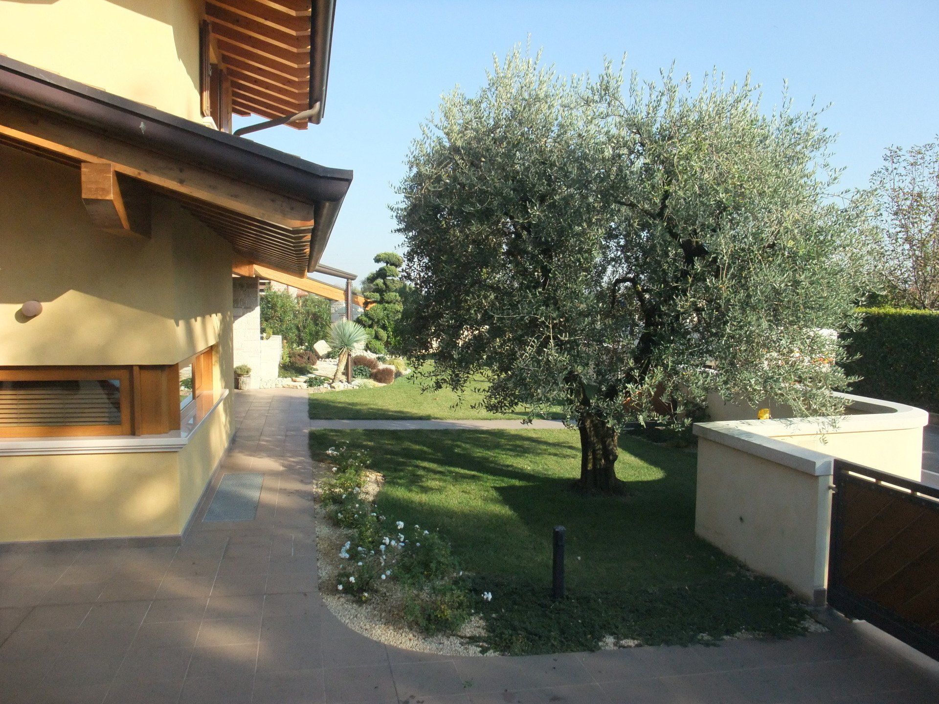 When Nature meets Design| Loria (TV) | Vivaio Porcellato