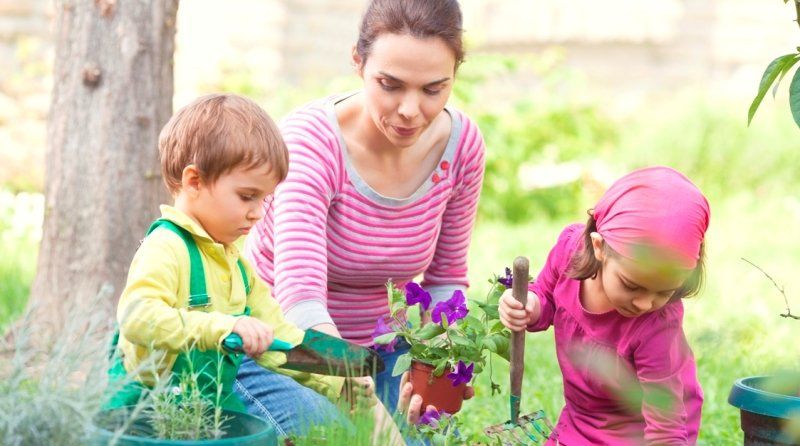 ROLE OF KEY PERSON | The Homestead Childcare - Nursery in Ruislip