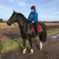 Riding lessons | Croft Farm Riding Centre