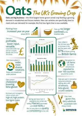 Winter oat Varieties - Senova