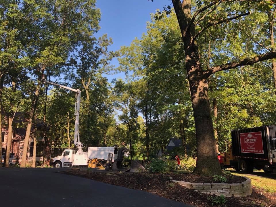 Liscombe Tree Service | 314-650-9055 | St. Charles, MO