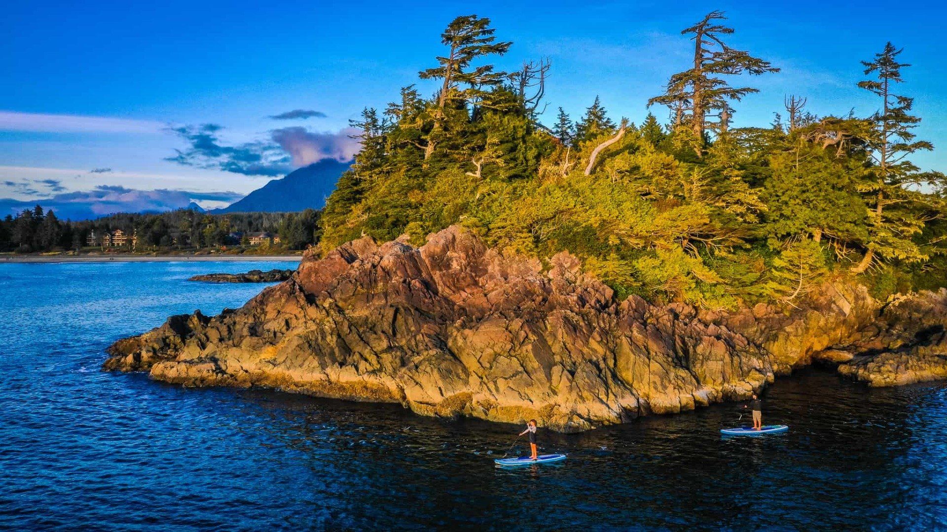 Une semaine à Tofino, Vancouver Island