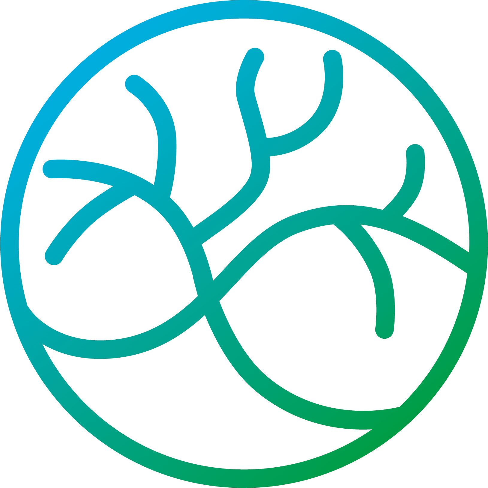 Corilus Jobs - Open jobs