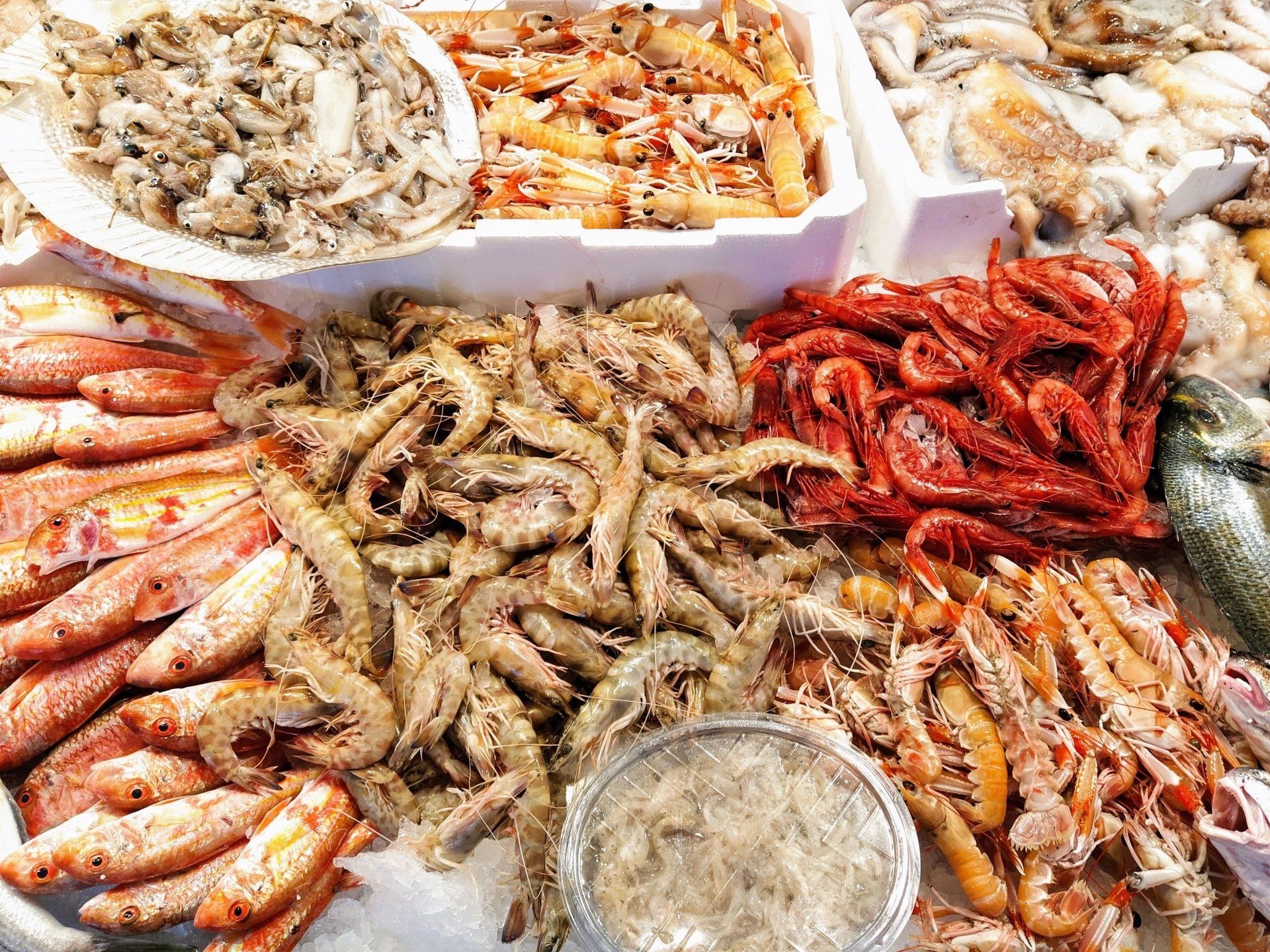 Pescheria Saronno Mediterranée