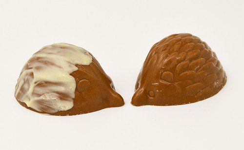 The Lancashire Hedgehog Care Trust