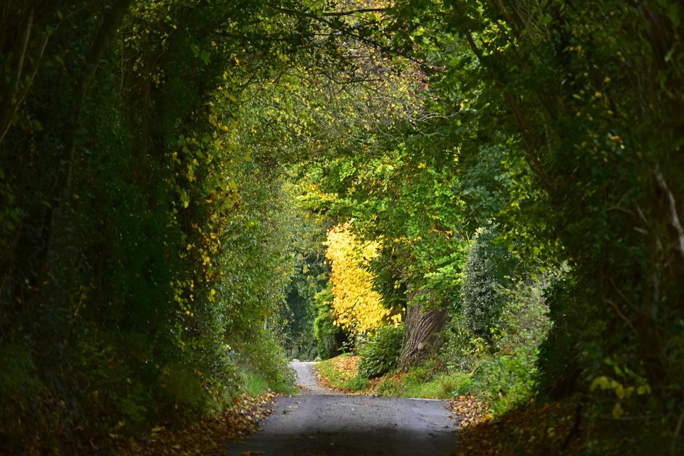 Introducing Profound Photos