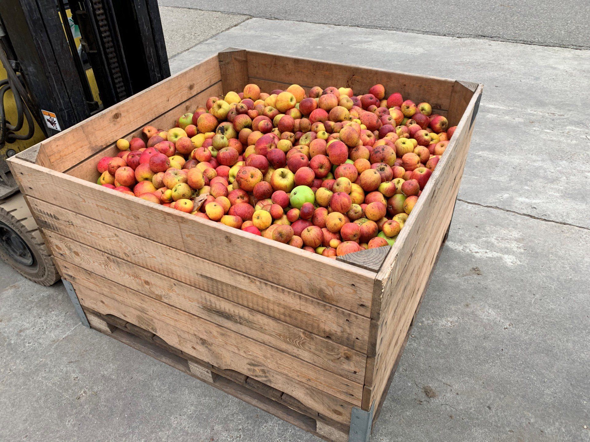 Cider, Friesland