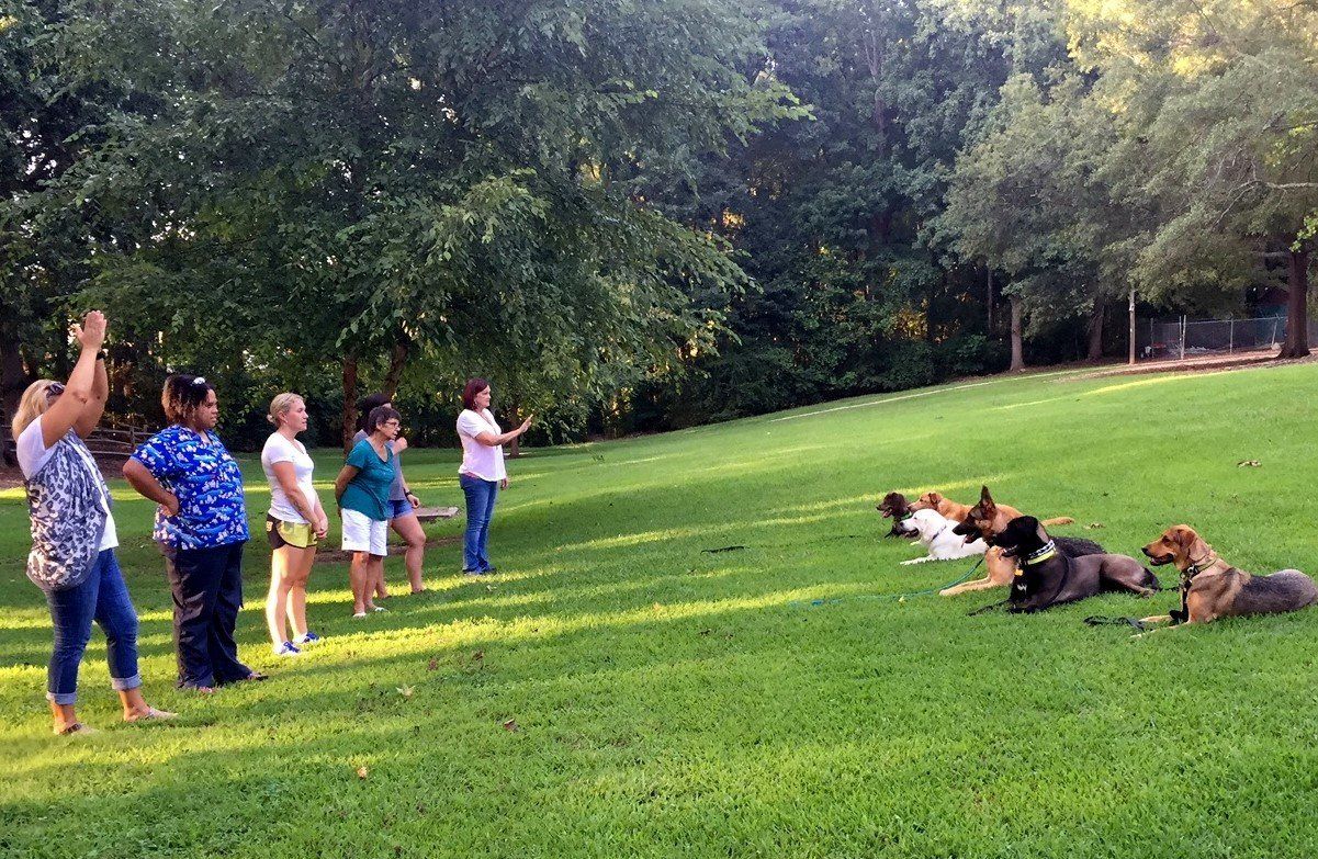 Home [www.astrokennels.net]