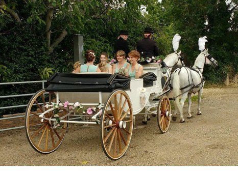 Horse-drawn carriage in East Anglia