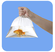 Primo Plastics | Leader in Custom Poly Bags