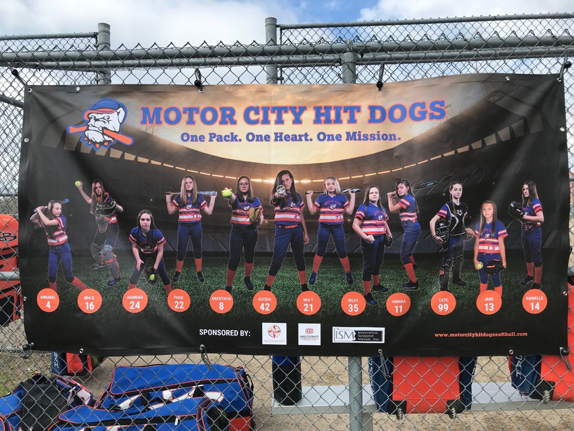 Motor City Hit Dogs Softball Academy