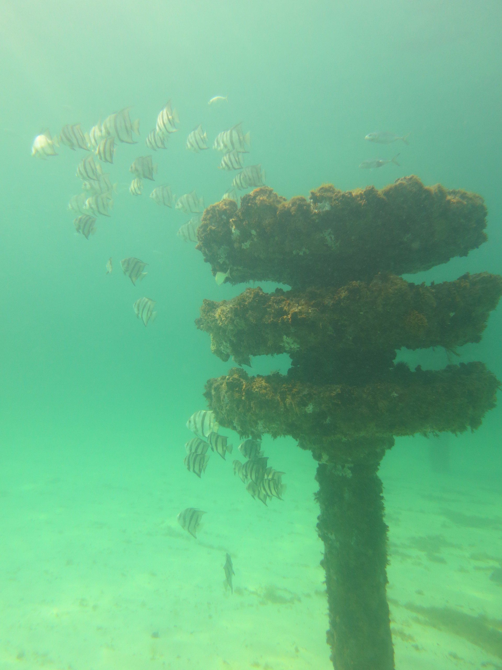 Works Boats In Perdido Pass Expanding Snorkeling Reef System